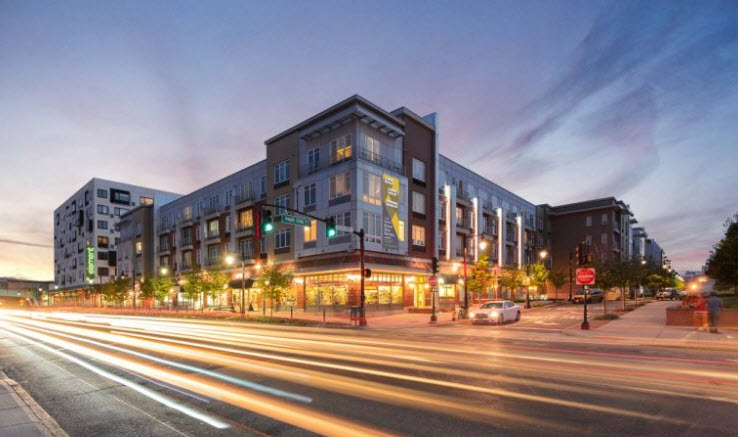 Harrison: Buzzing with Evolution – harrison-newark fyi